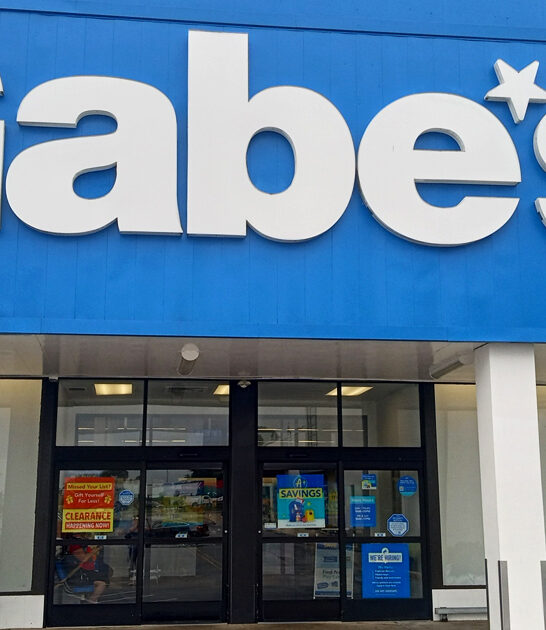enormous discount store delaware ftr