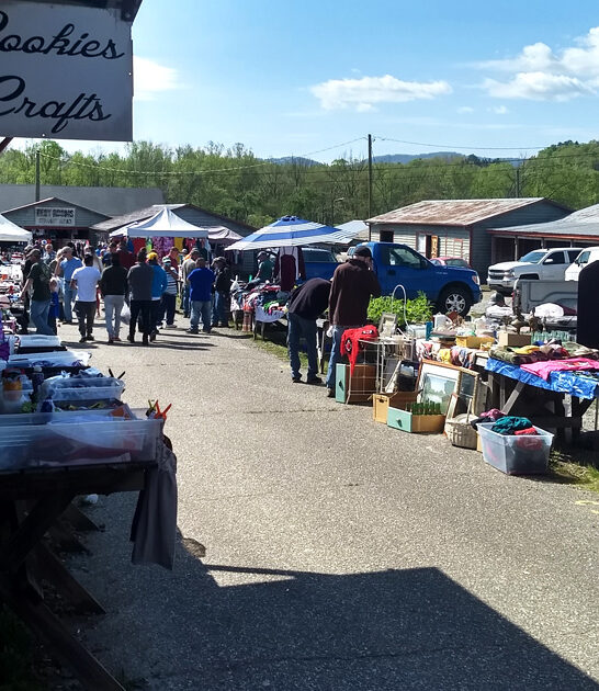 enormous north carolina bazaar ftr