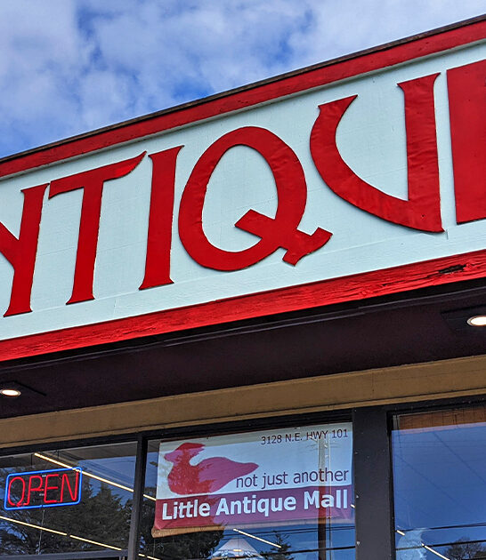 enormous oregon antique store ftr