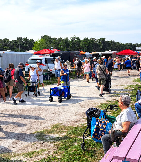 enormous swap meet florida ftr