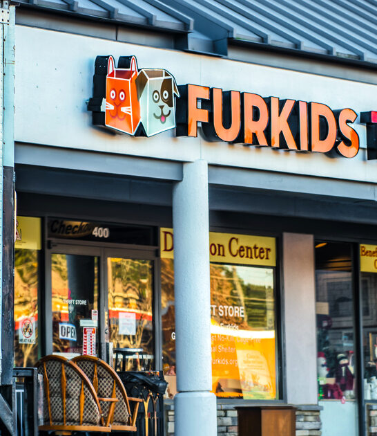 enormous thrift gifts georgia ftr