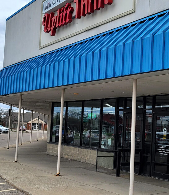 enormous thrift michigan gifts ftr