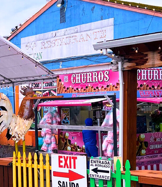 epic flea market oregon ftr