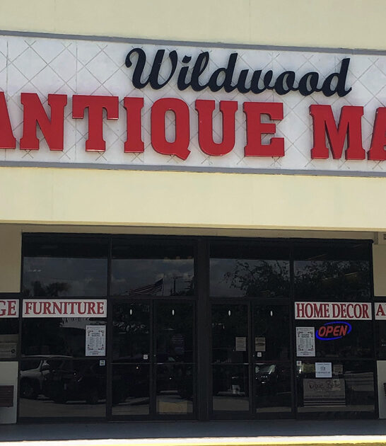 explore florida rare treasures ftr