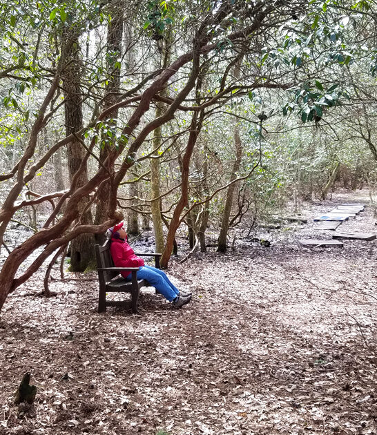 explore maryland state park ftr