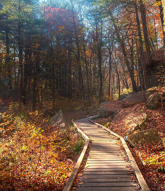 explore state park massachusetts ftr