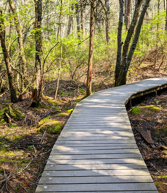 explored massachusetts picturesque trail ftr