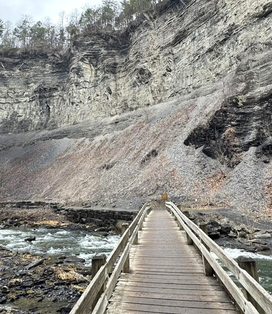 explored new york trail ftr