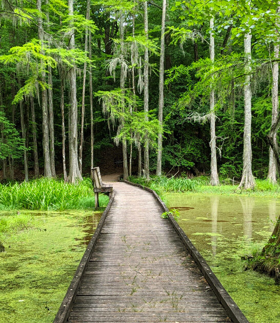 explored north carolina park ftr