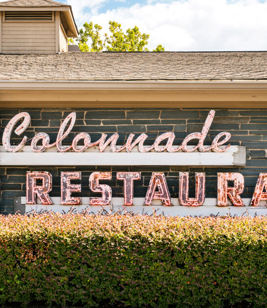 famous georgia fried chicken ftr