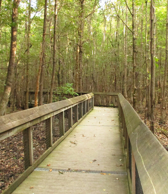fascinating arkansas park ftr