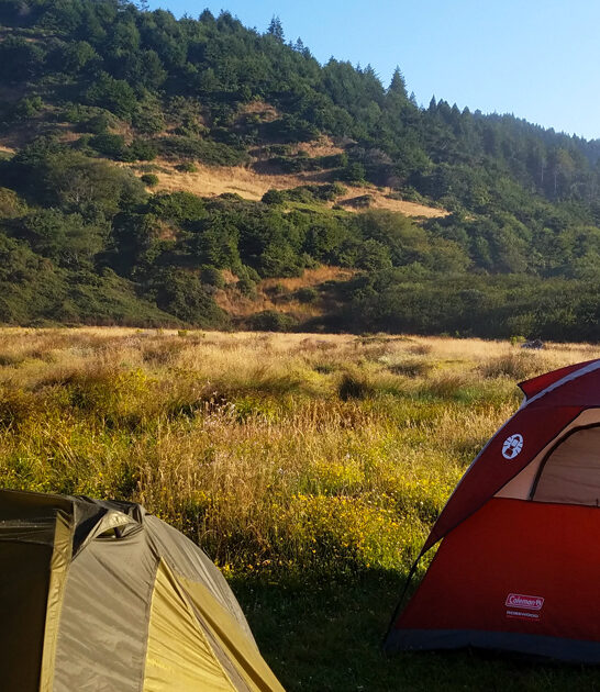 fascinating campground california ftr