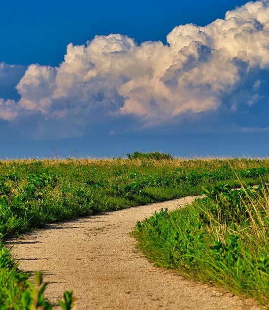 fascinating mile trail kansas ftr