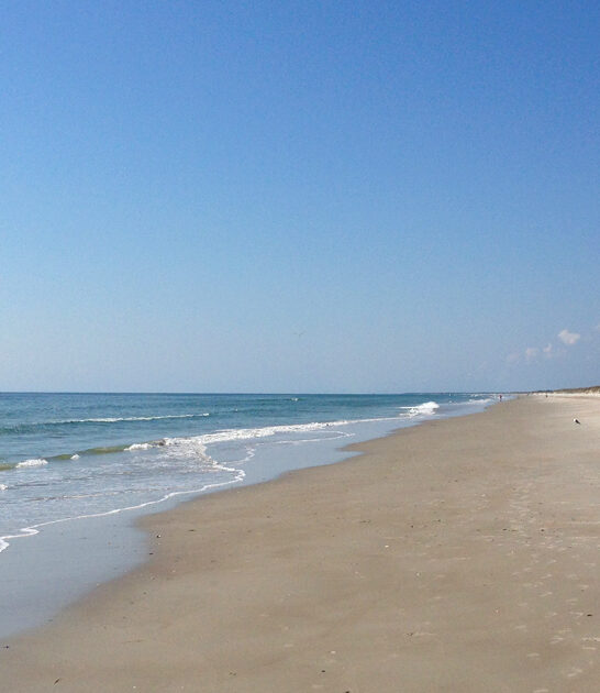 fascinating north carolina park ftr