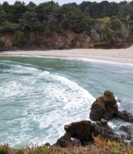 fascinating park california ftr