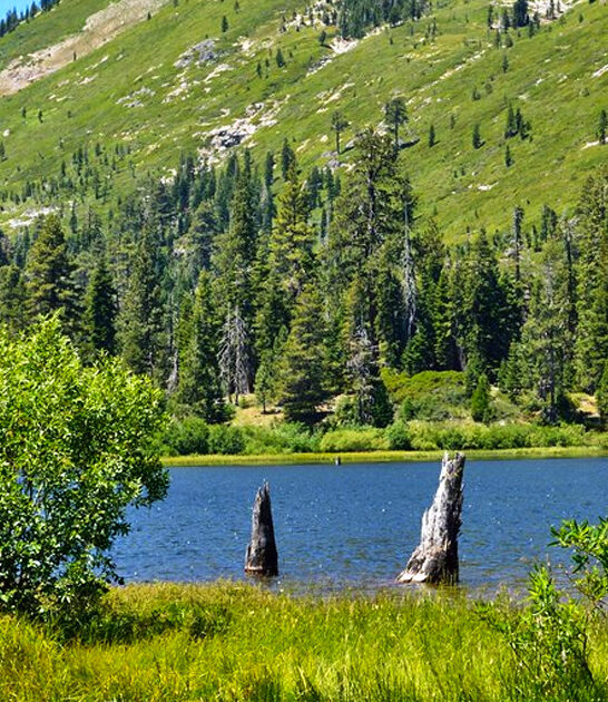 fascinating park hidden california ftr