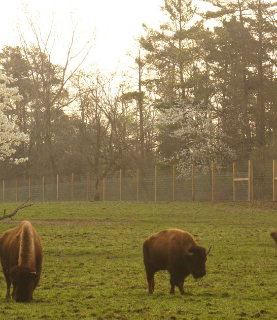 fascinating-park-indiana-FTR