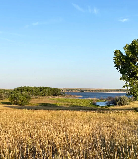 fascinating park kansas ftr