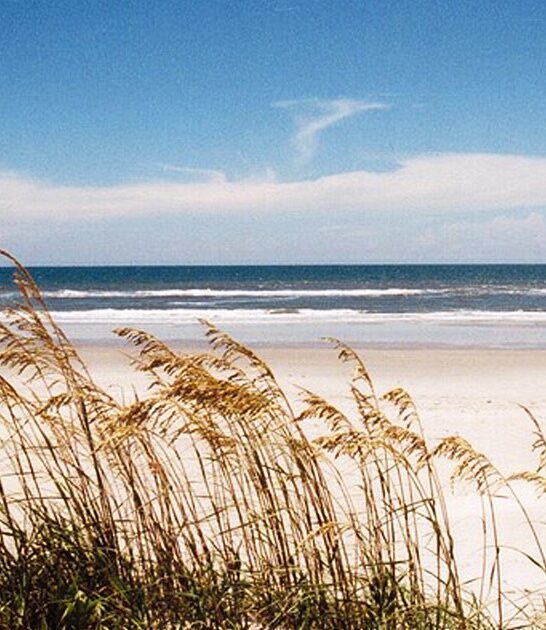 fascinating park north carolina ftr