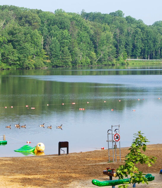 fascinating park virginia ftr