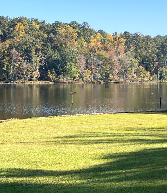 fascinating parks alabama state ftr