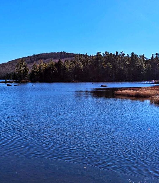 fascinating parks new hampshire ftr