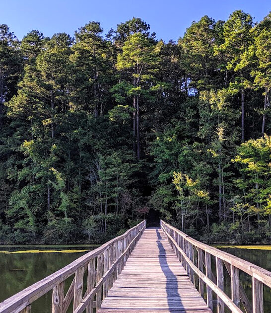 fascinating parks tennessee ftr