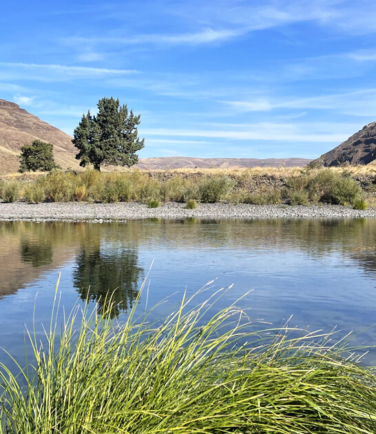 fascinating plan trip oregon ftr