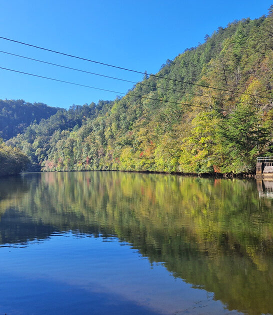 fascinating state parks tennessee ftr