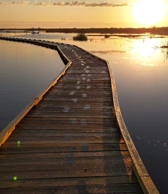fascinating state parks texas ftr