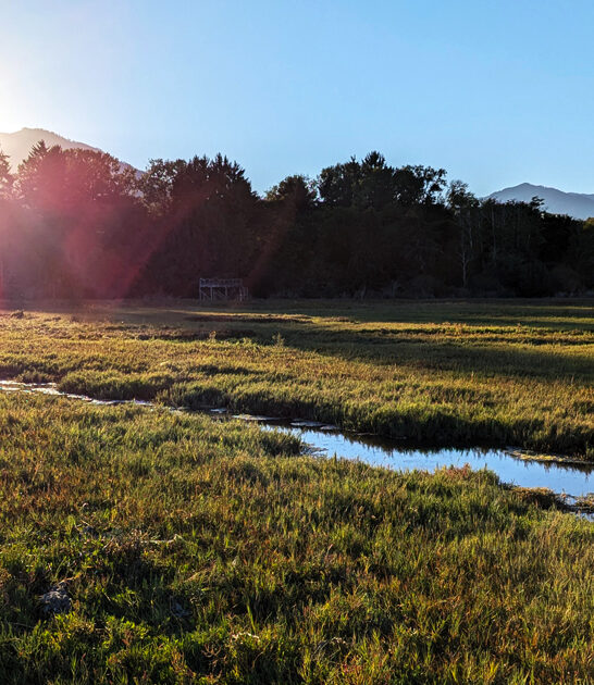 fascinating state parks washington ftr