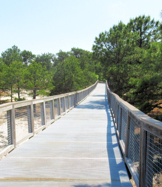 fascinating trail delaware ftr