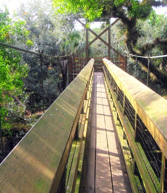 fascinating trail florida ftr