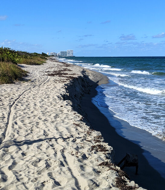 florida 310 acre park ftr