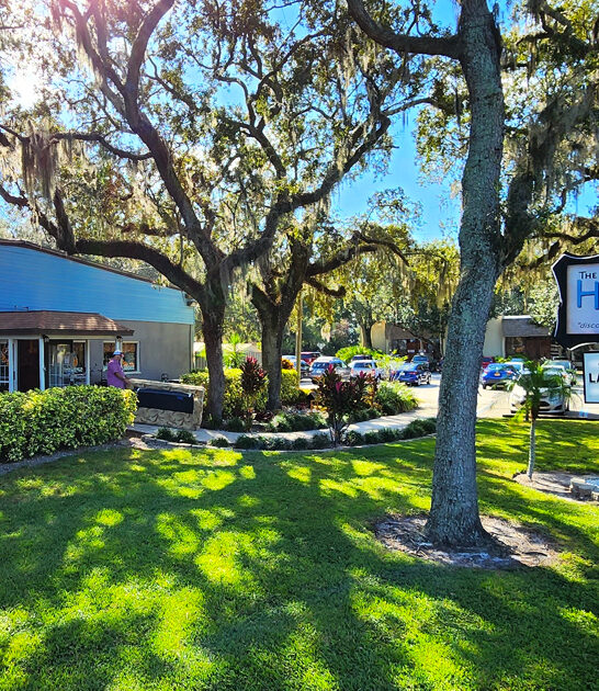 florida crazy bargains store ftr