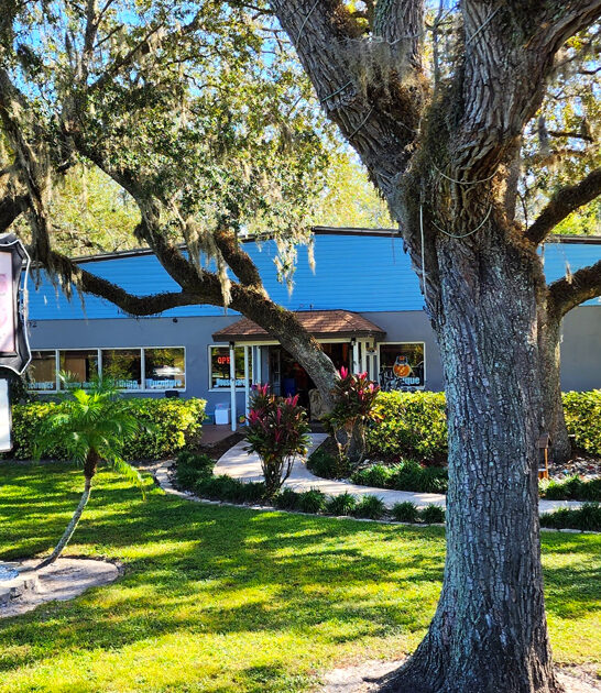 florida crazy good bargains ftr