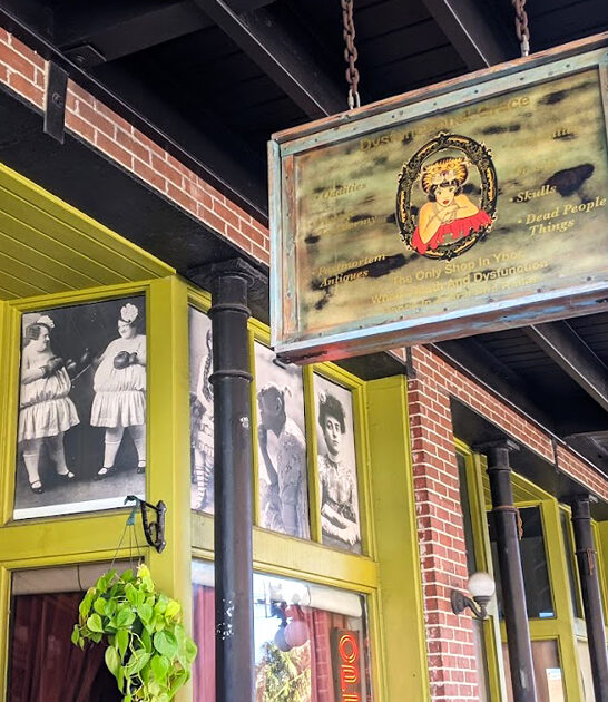 florida curious treasure haven ftr