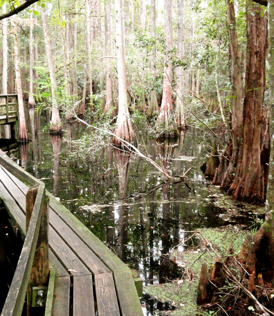 florida fascinating park FTR