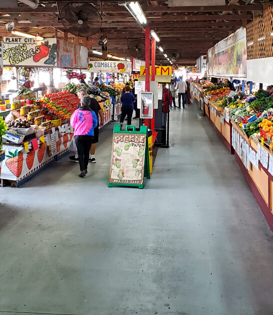 florida indoor treasure wonderland ftr