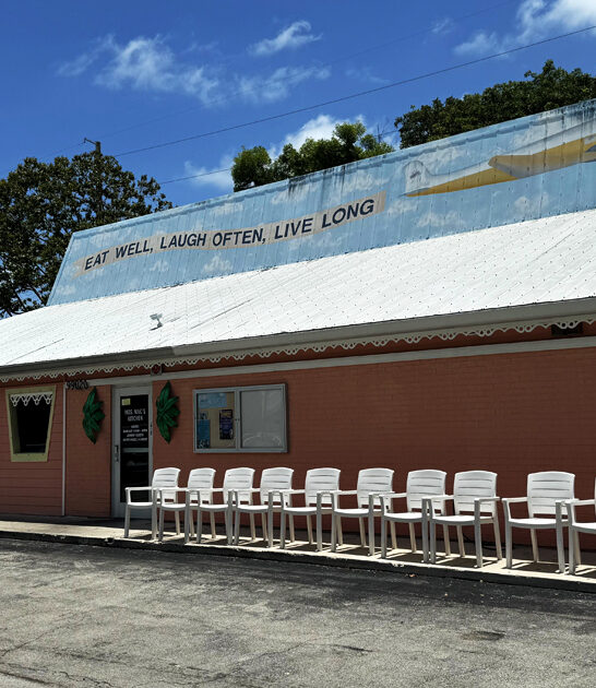 florida locals lime pie ftr