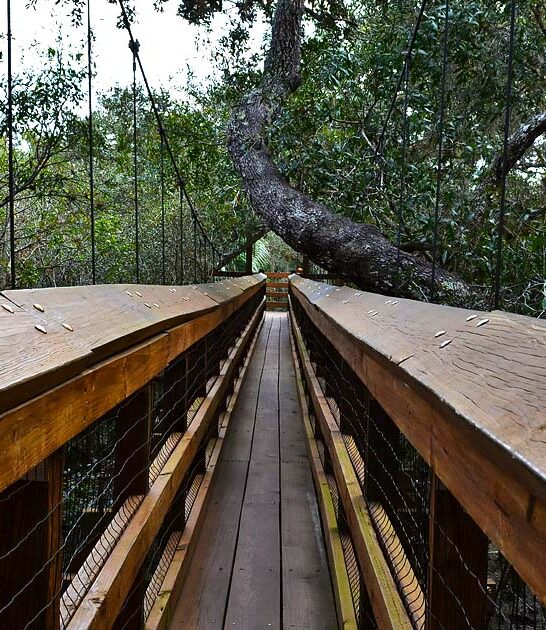 florida one mile trail ftr