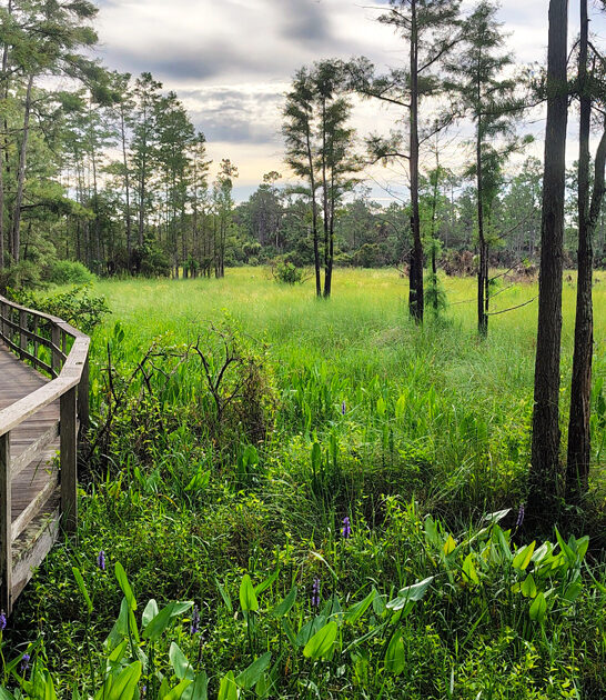 florida picturesque trail ftr