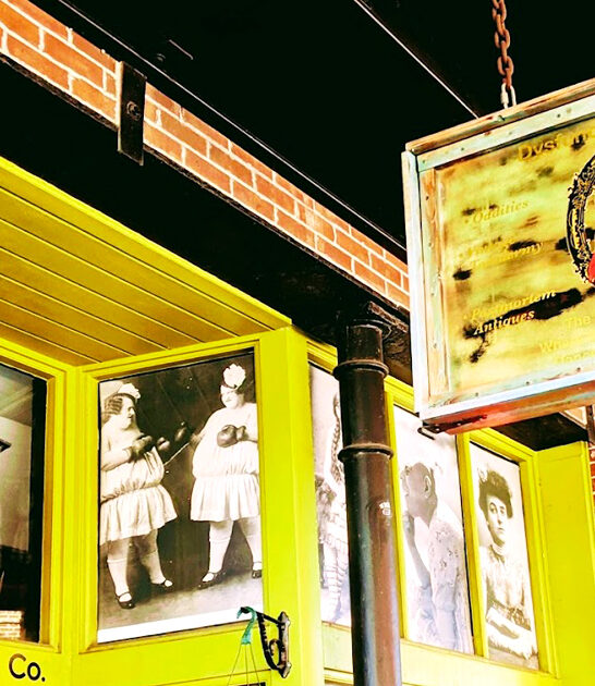 florida rare find wonderland ftr