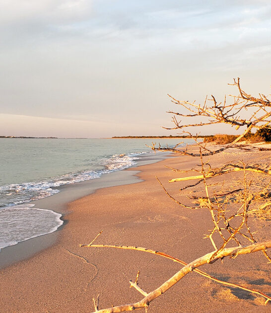 florida secret beach ftr