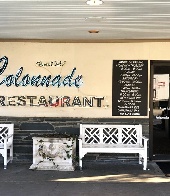 fried chicken georgia delicious ftr