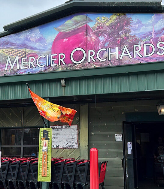 fried pie georgia cafe ftr