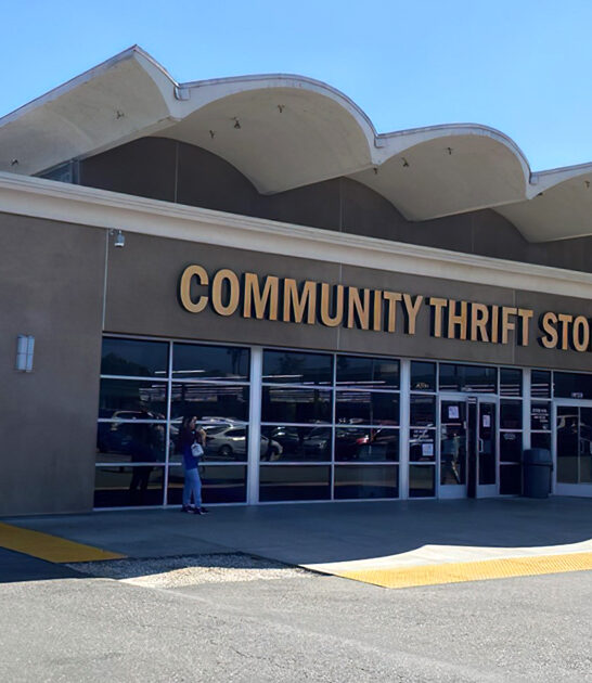 gaint thrift store california ftr