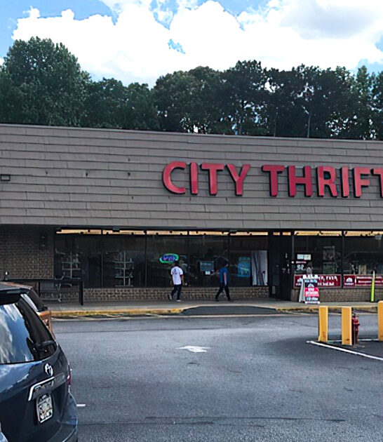 georgia bargain stores ftr