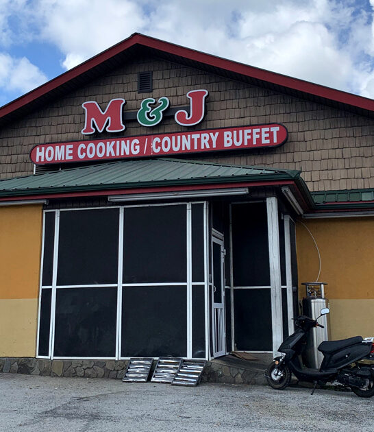 georgia delicious buffet ftr