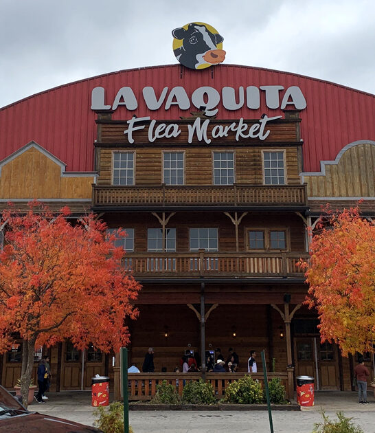 georgia enormous indoor market ftr